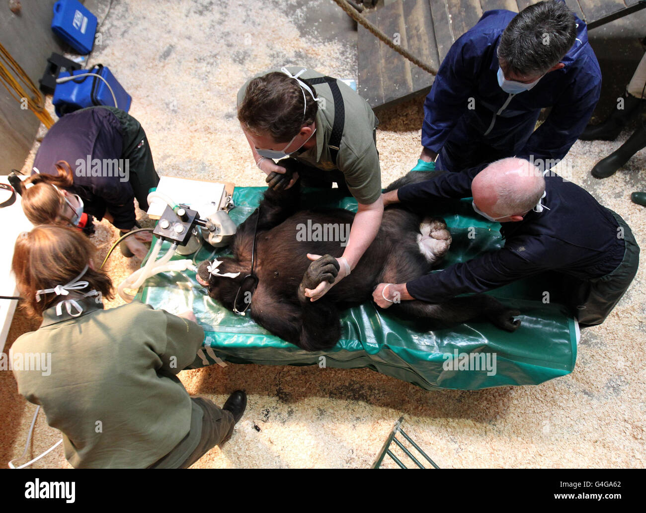Simon girling top centre Banque de photographies et d’images à haute ...