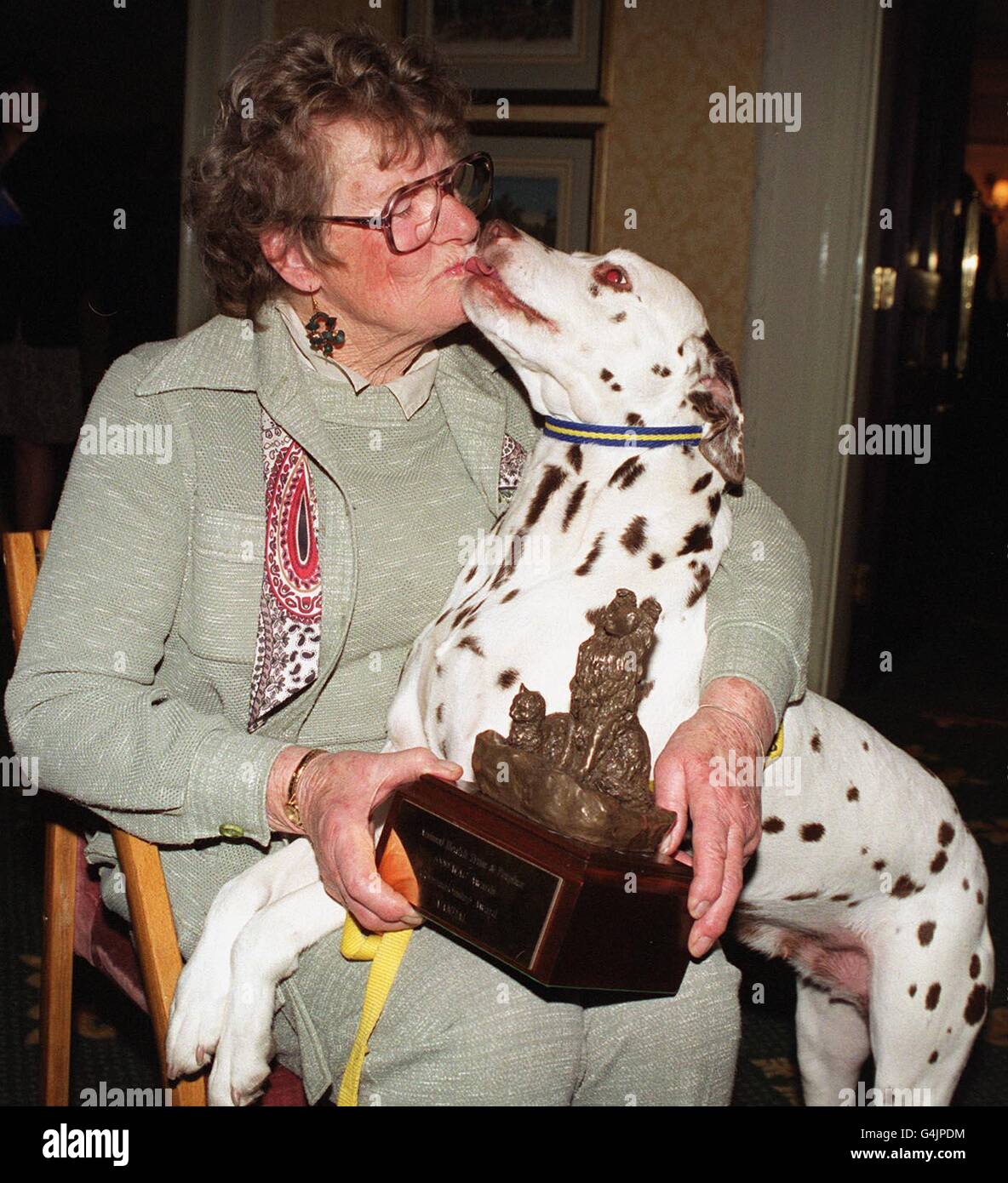 Paddy hayes Banque de photographies et d’images à haute résolution - Alamy