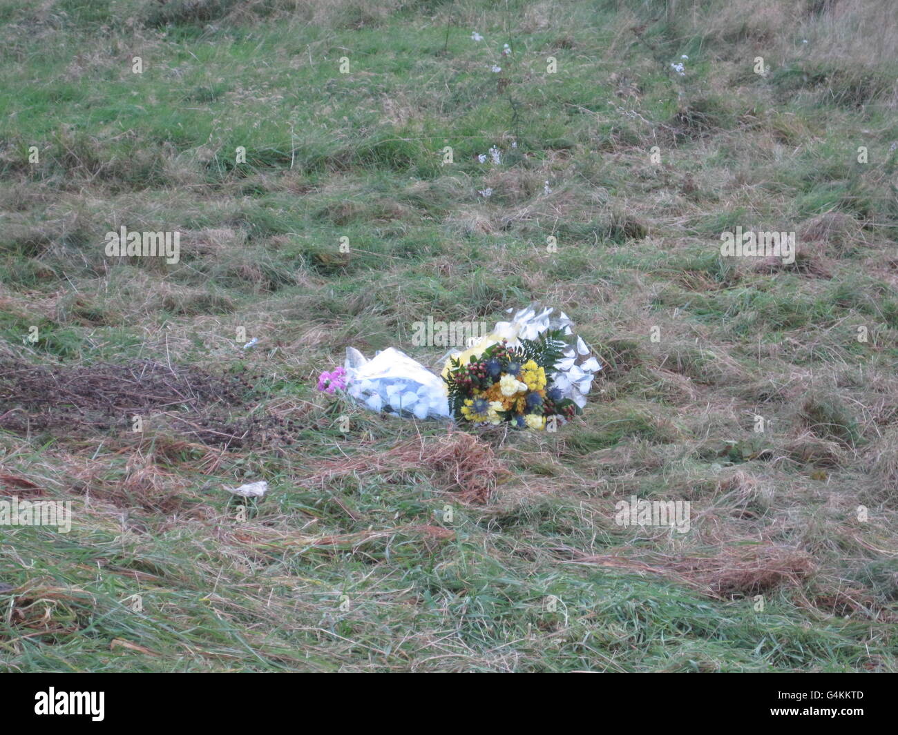 Stuart walker Banque de photographies et d’images à haute résolution ...