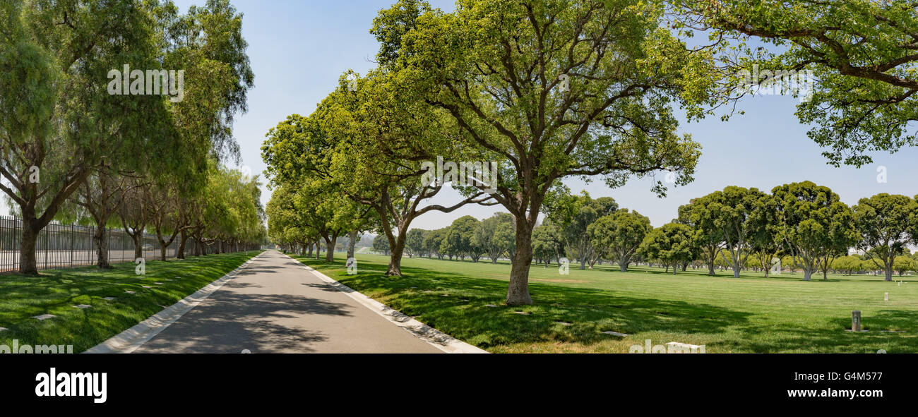 Panorama du vaste parc verdoyant avec de grands arbres le long de la ...
