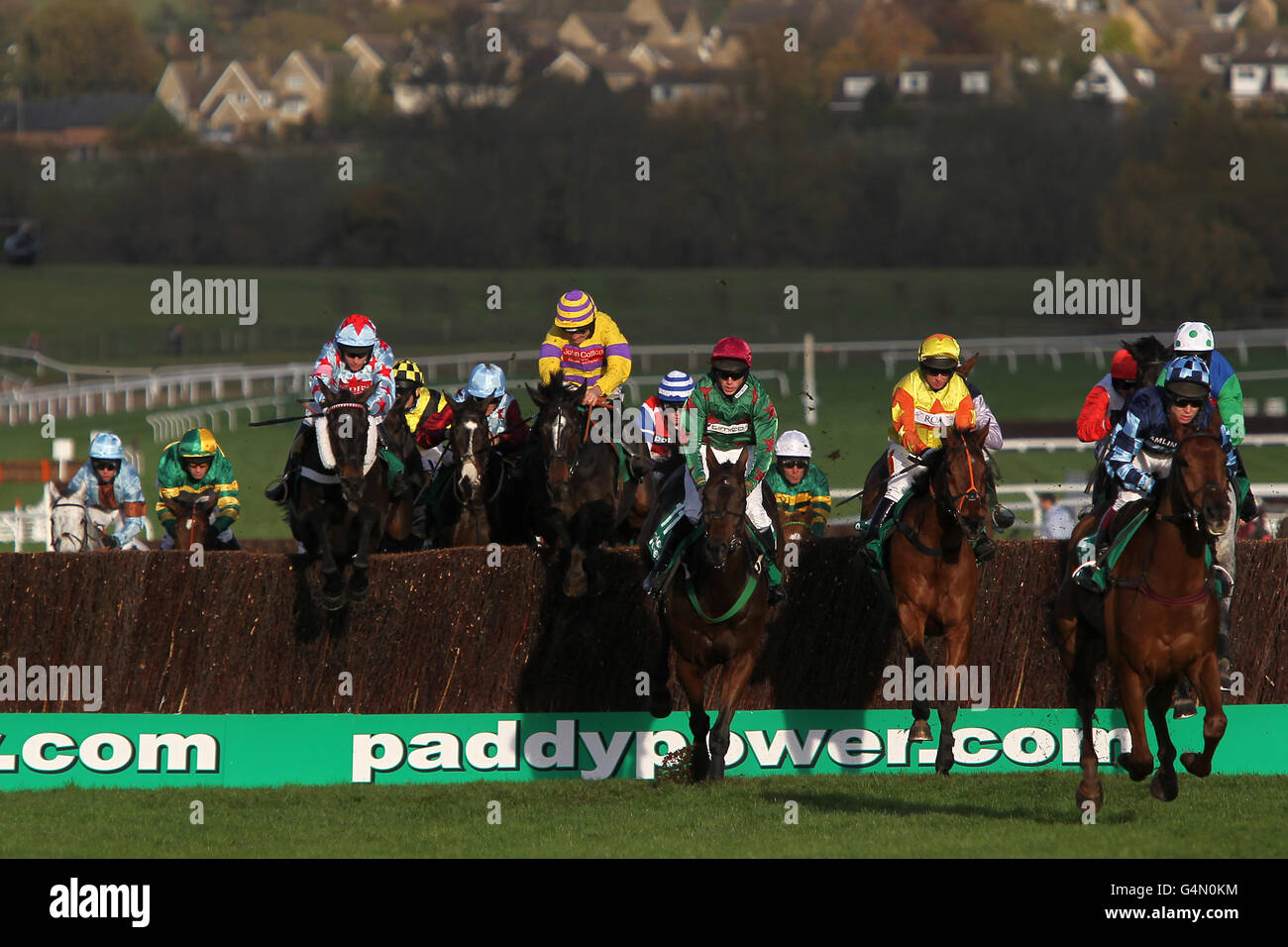 Chevaux paddypower com signalisation de puissance de paddy Banque de ...