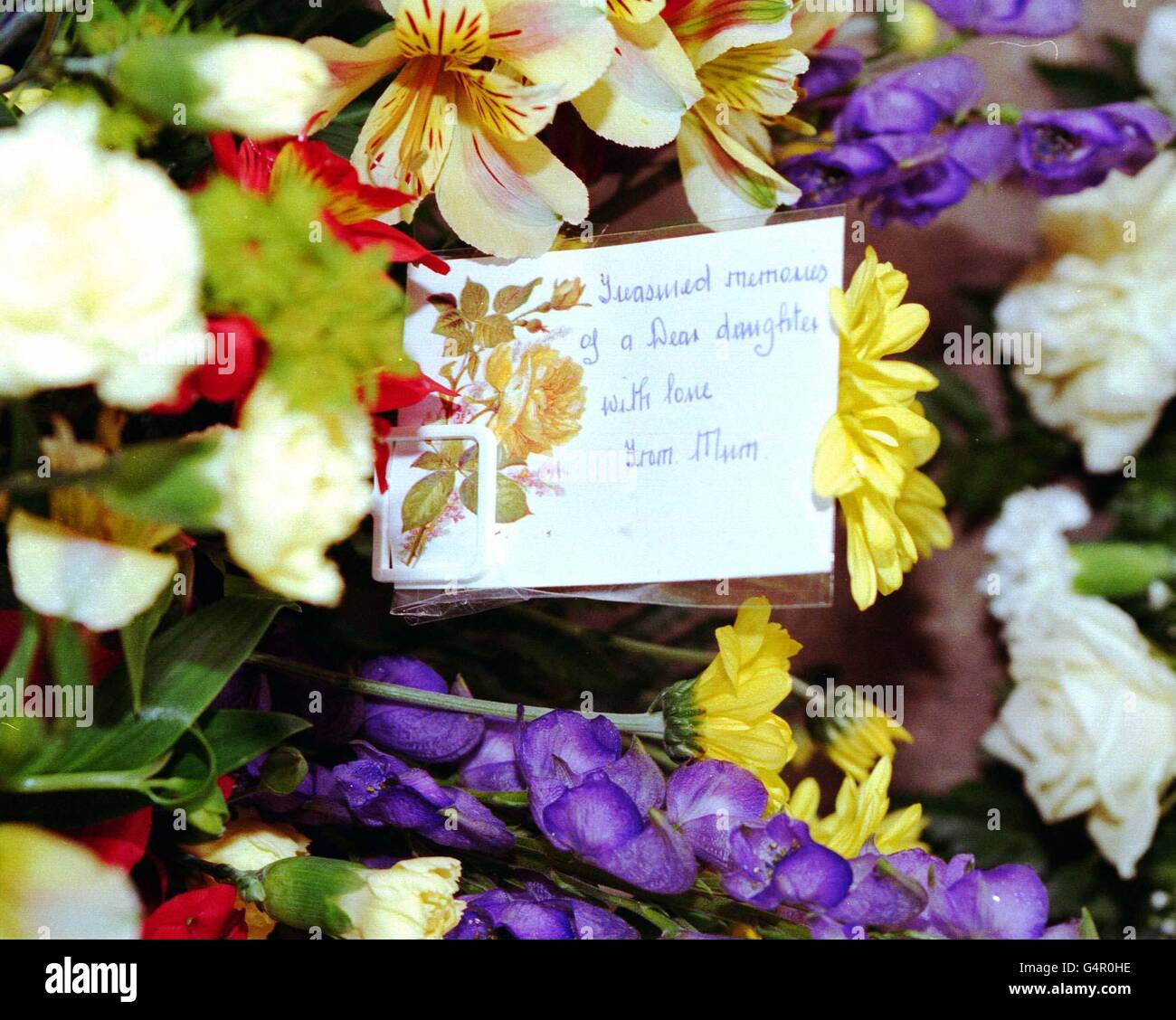 Nikki rollason Banque de photographies et d’images à haute résolution ...