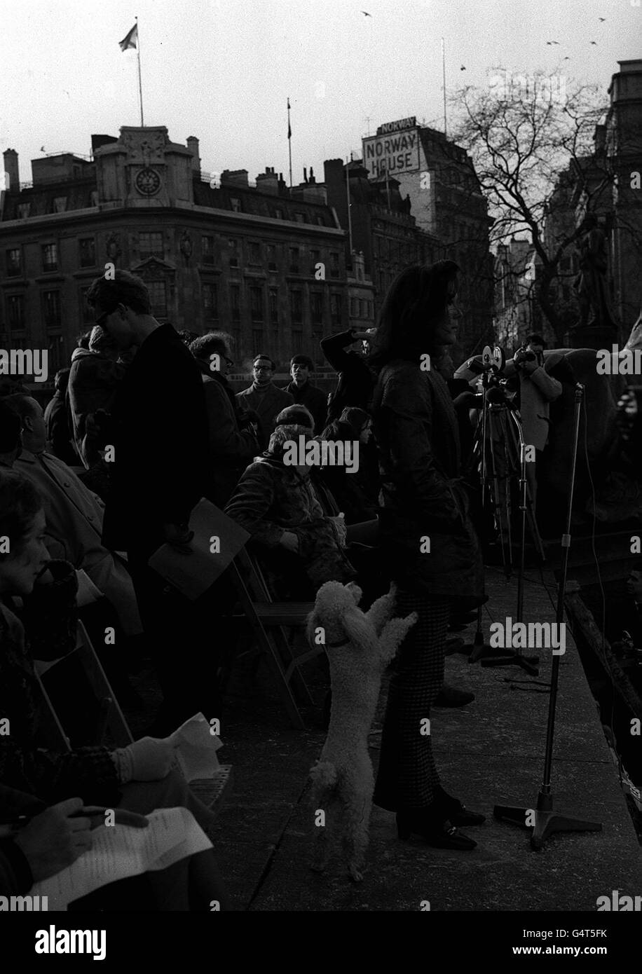 Diana rigg actress Banque de photographies et d’images à haute ...