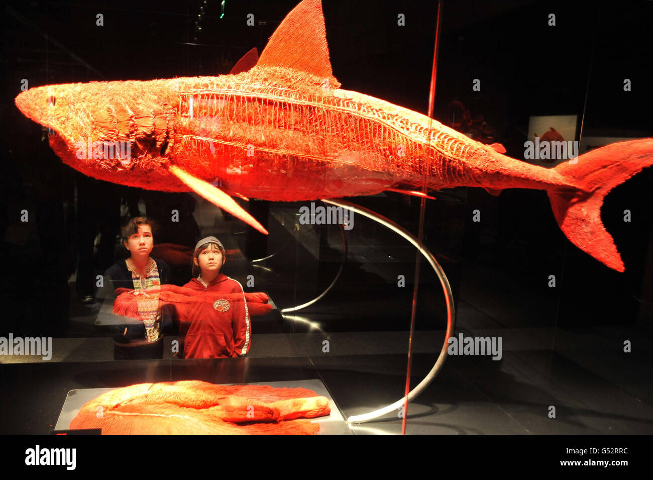 Anna Rain, 12 ans, et son frère, Mondo, 10 ans,Découvrez un spécimen ...