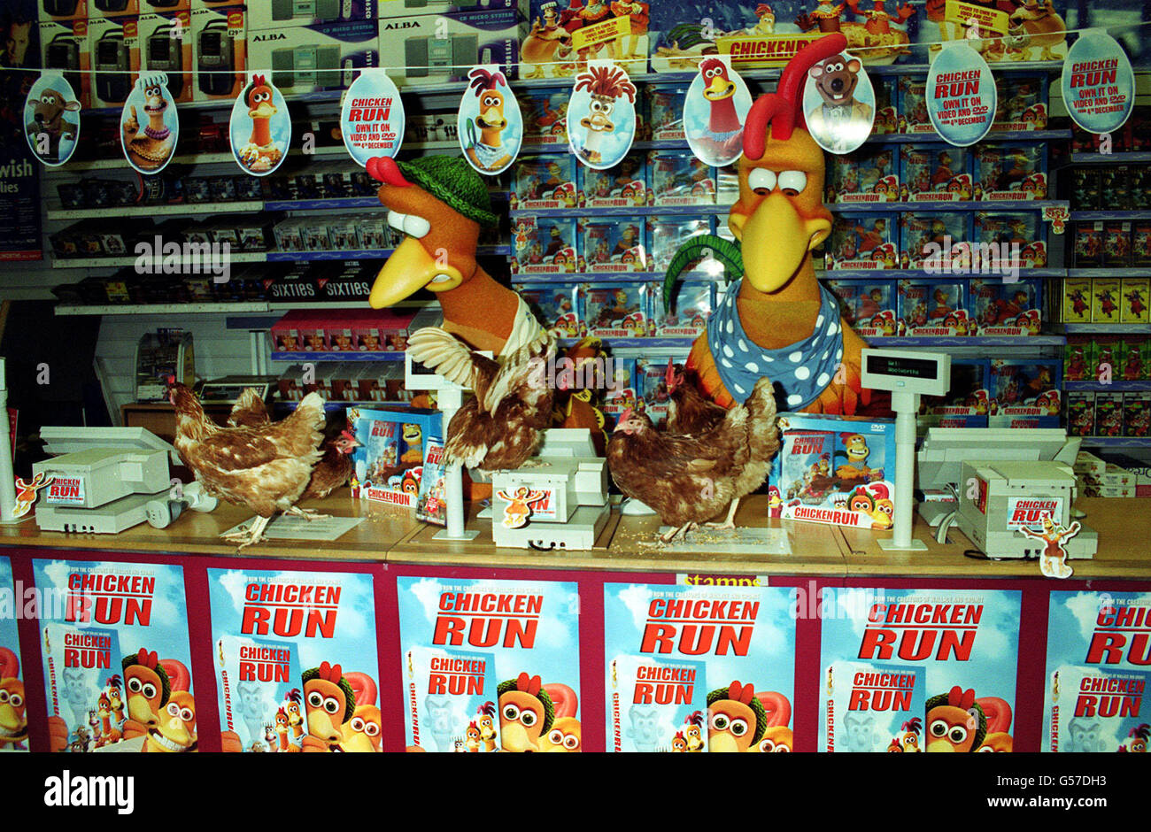 Chicken run rocky Banque de photographies et d’images à haute ...