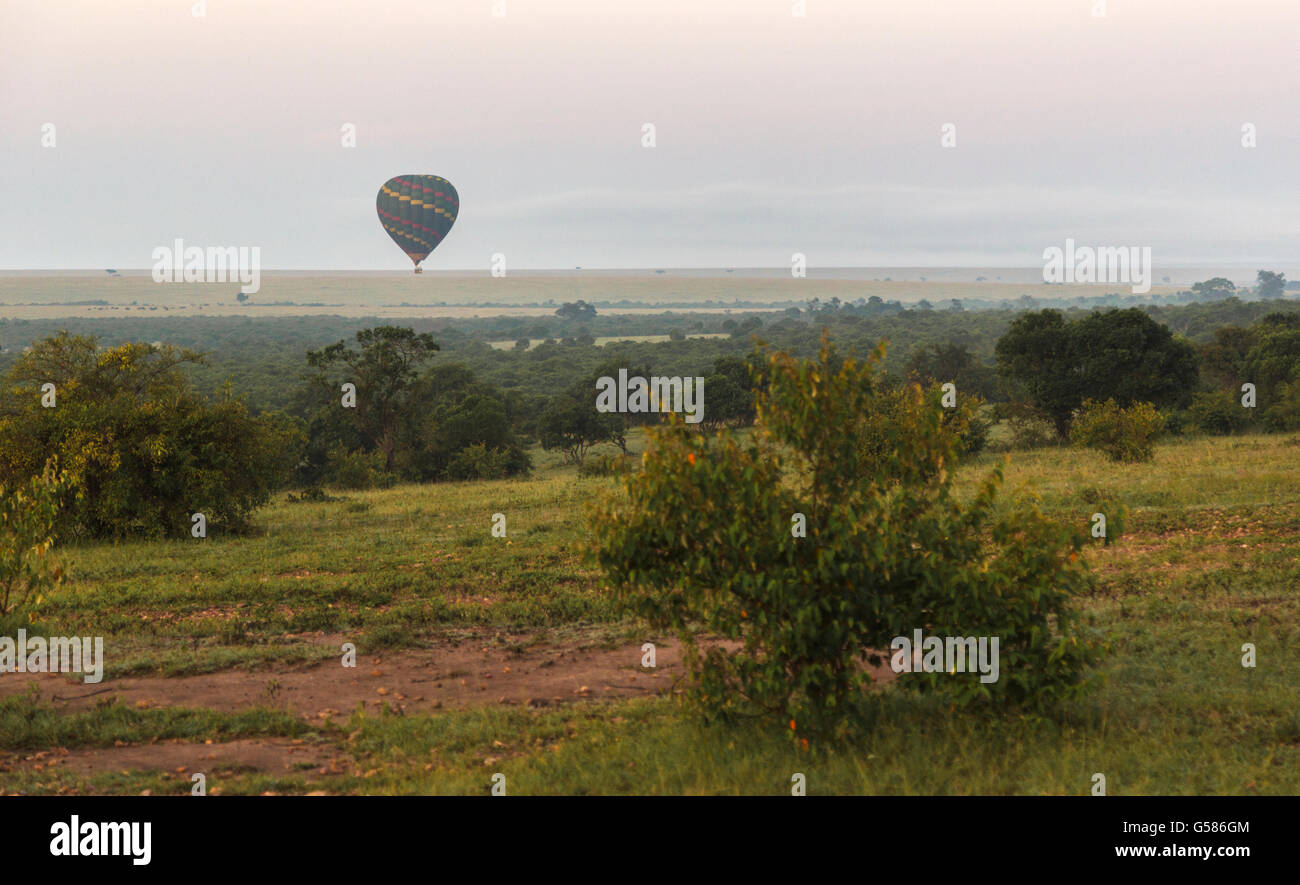 Forêt Et Savane Forestière Banque d'image et photos - Alamy