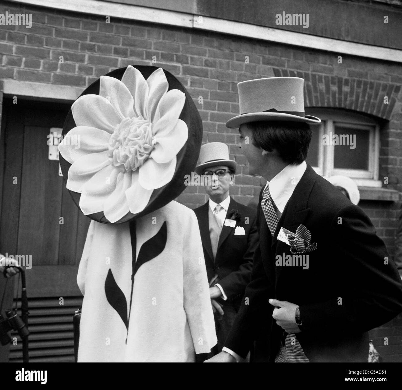 David gertrude shilling ascot Banque de photographies et d’images à ...