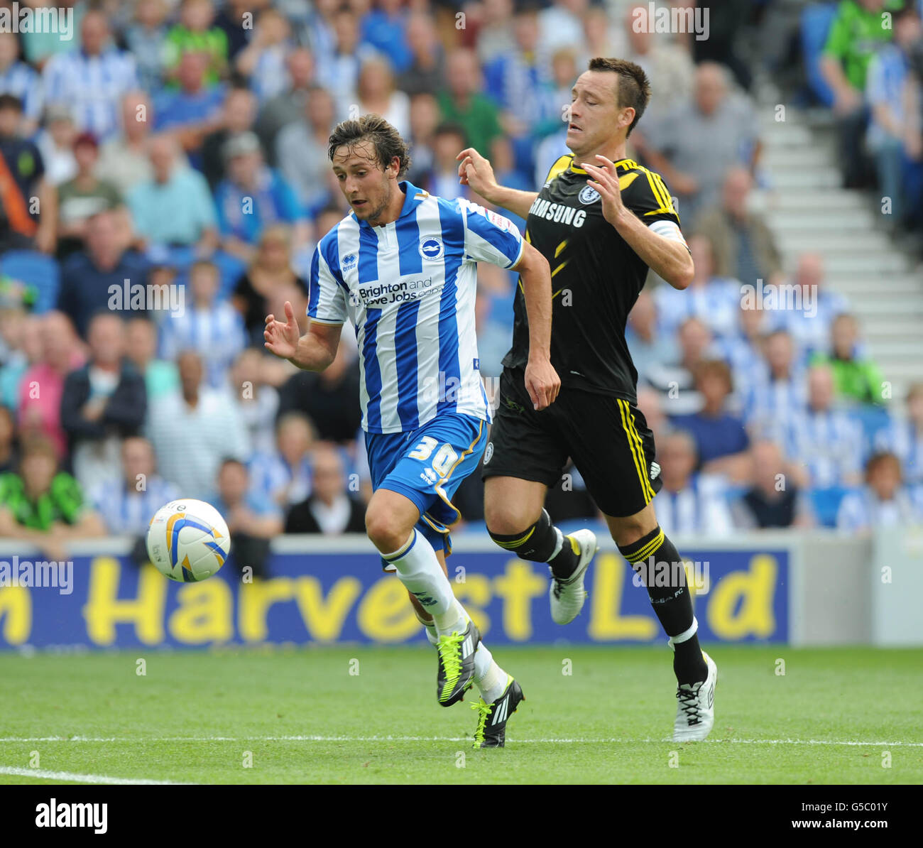 John Terry de Chelsea et will Buckley de Brighton (à gauche) se battent ...