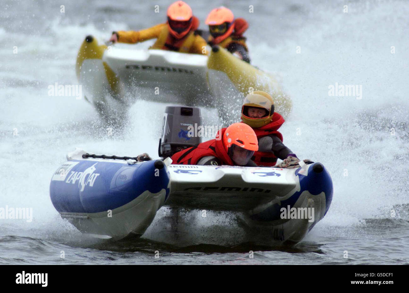 Zap cat Banque de photographies et d’images à haute résolution - Alamy