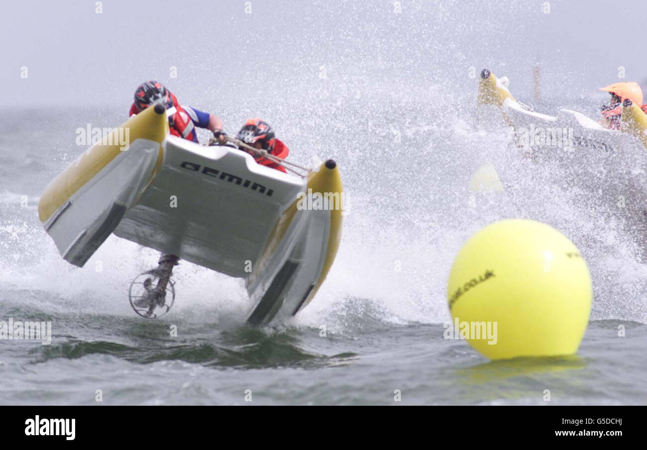 Zap cat Banque de photographies et d’images à haute résolution - Alamy