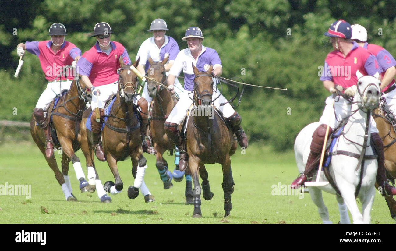 Royal sport polo action prince william prince harry Banque de ...