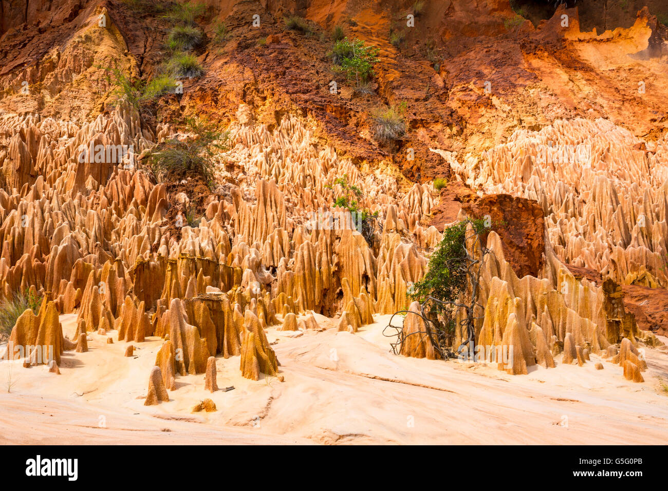 Tsingy Rouge, Madagascar Banque d'image et photos - Alamy