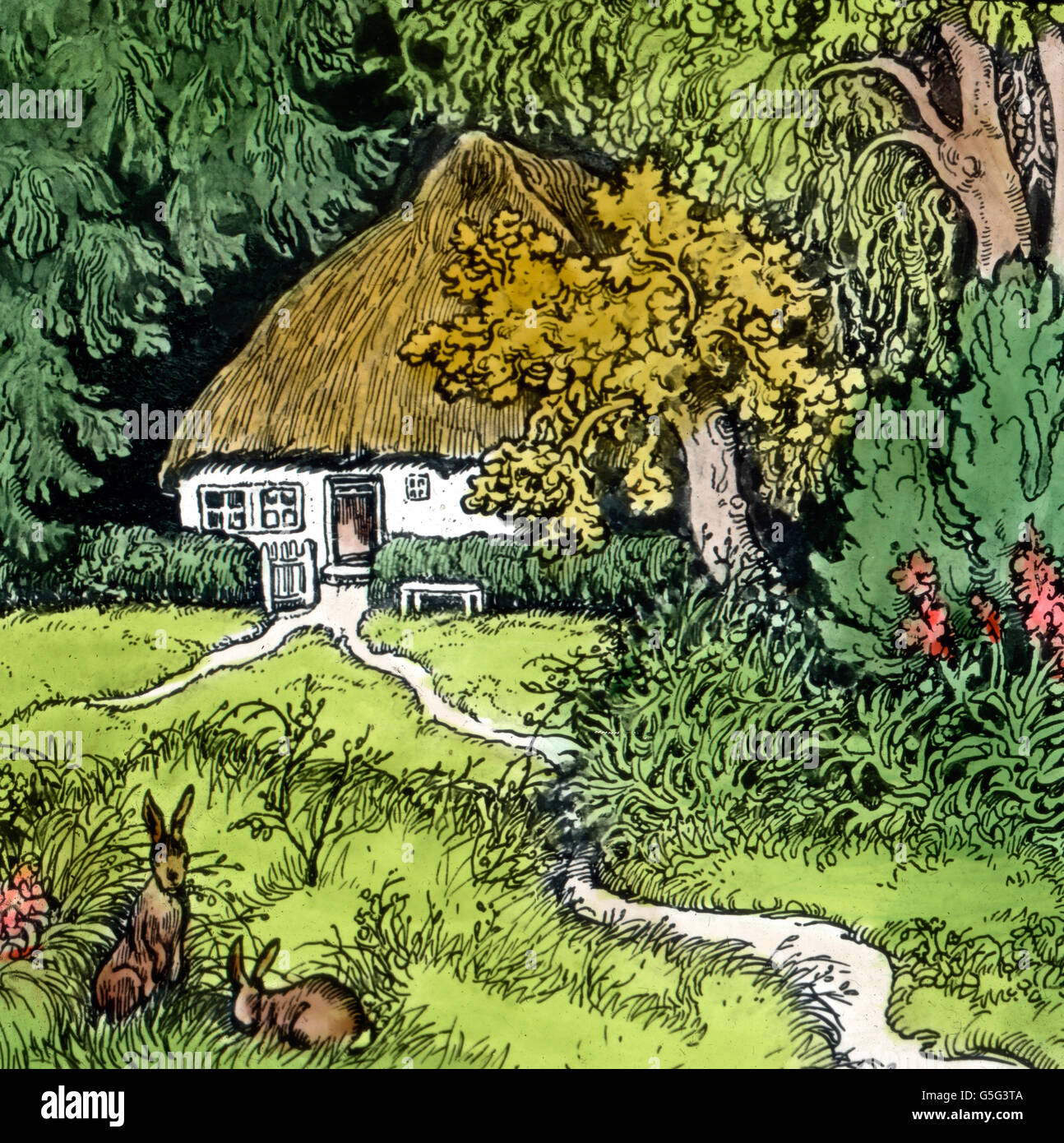 Histoire De Le Petit Chaperon Rouge - Aperçu Historique