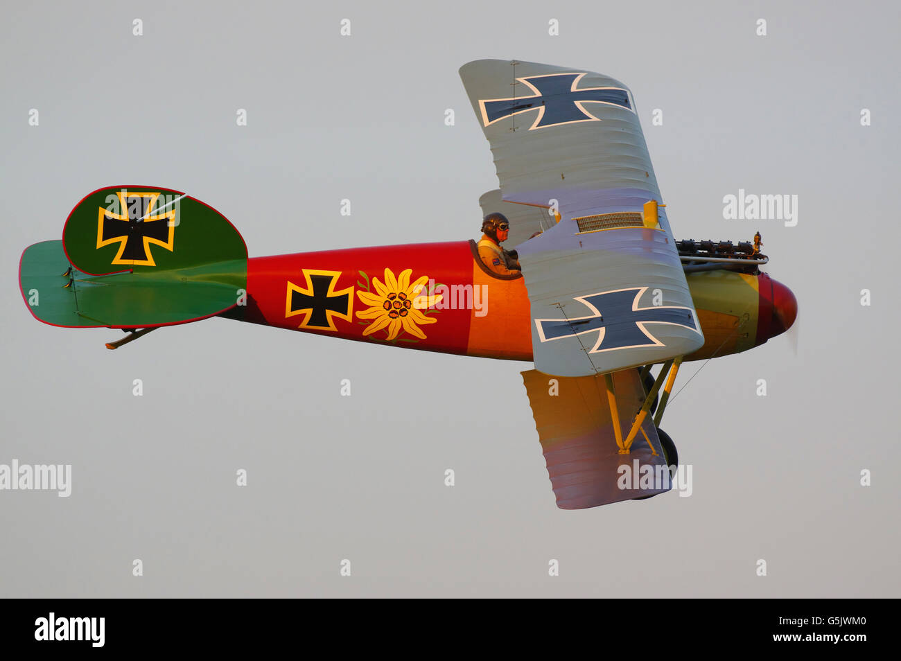 Albatross dva Banque de photographies et d’images à haute résolution - Alamy