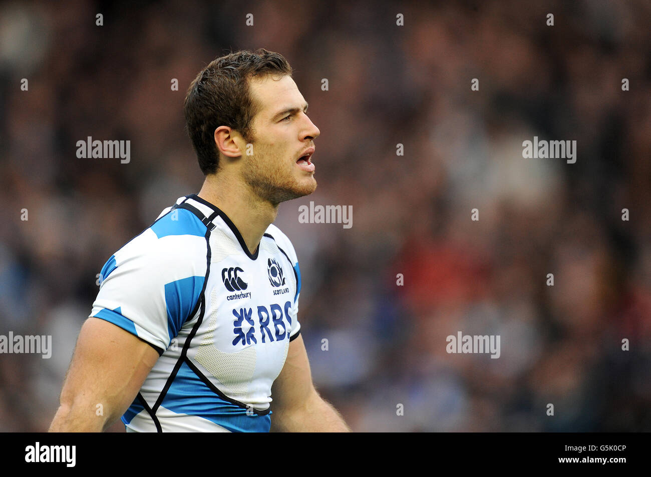 Tim visser rugby Banque de photographies et d’images à haute résolution ...