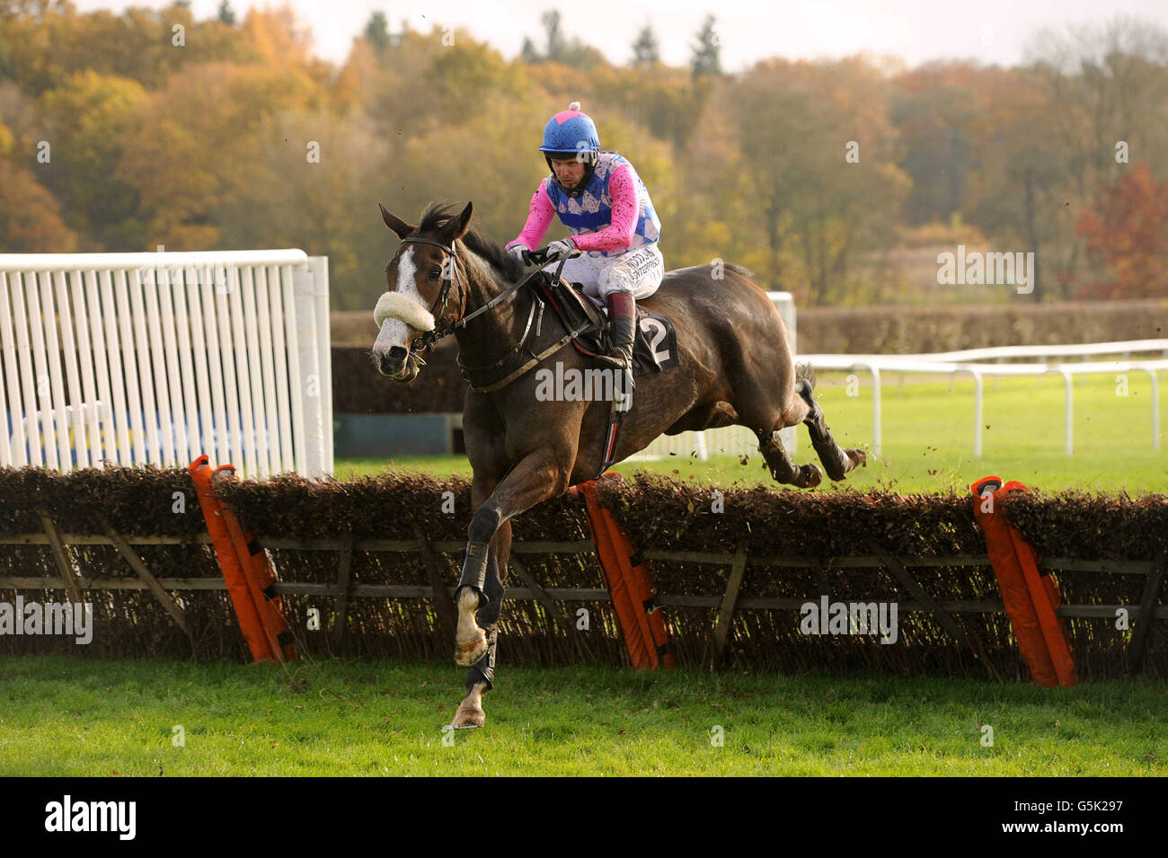 Courses de courses de chevaux ampics Banque de photographies et d ...