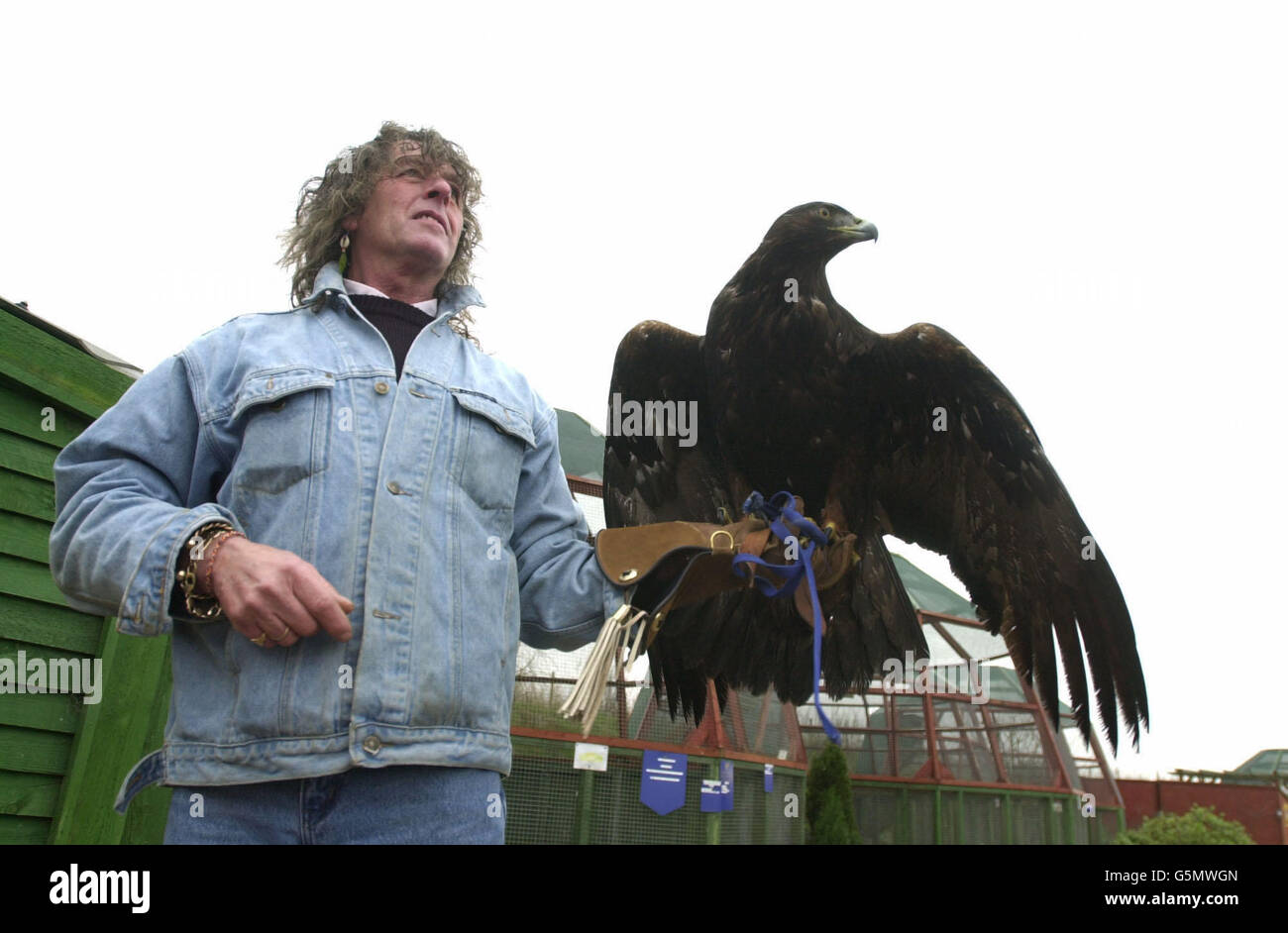 Pet shop owner david holmes from woodlinkin in derbyshire Banque de ...