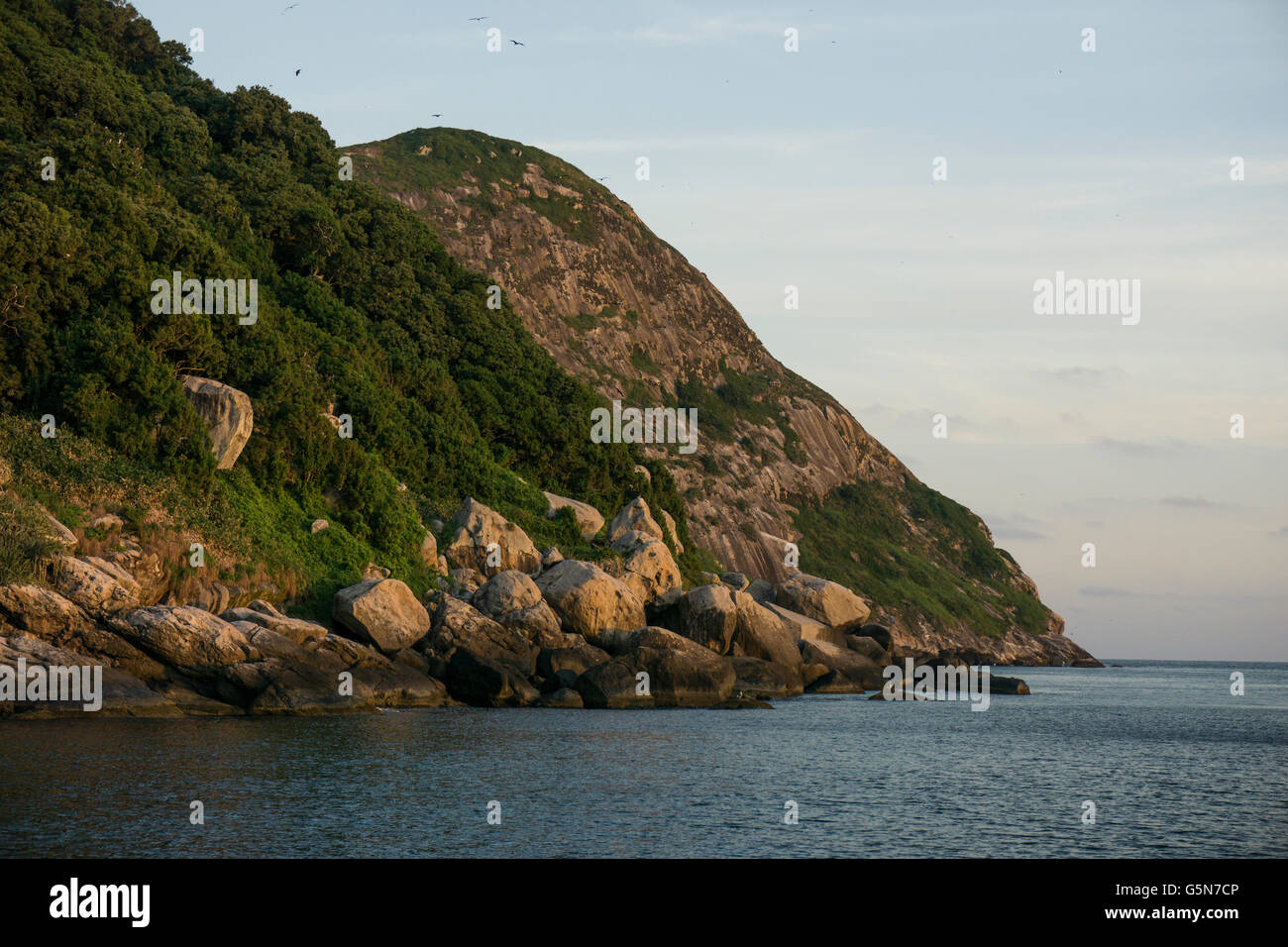 Queimada Grande island connue sous le nom de l'île Snake accueil de ...