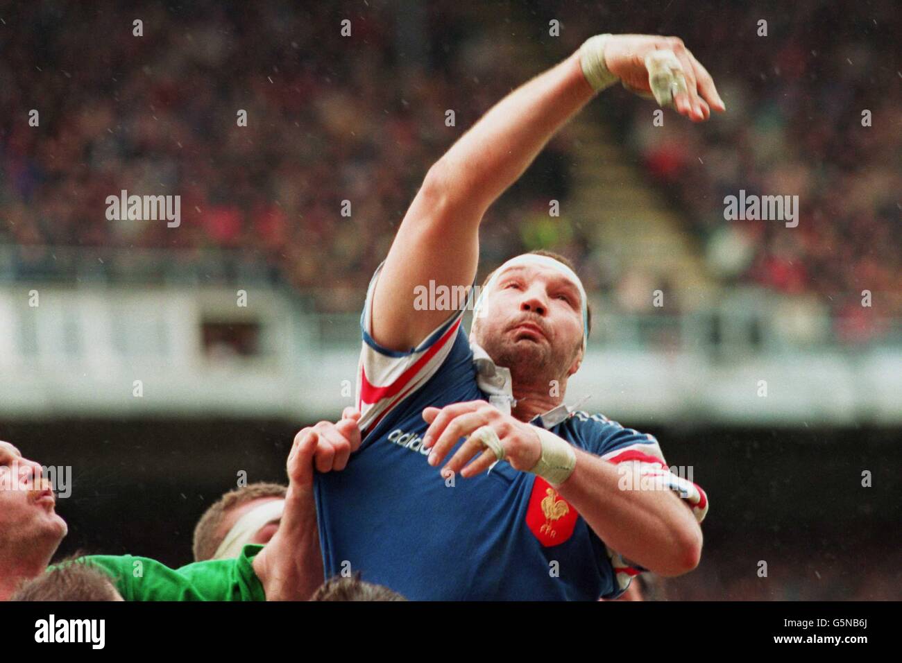 Olivier merle Banque de photographies et d’images à haute résolution ...