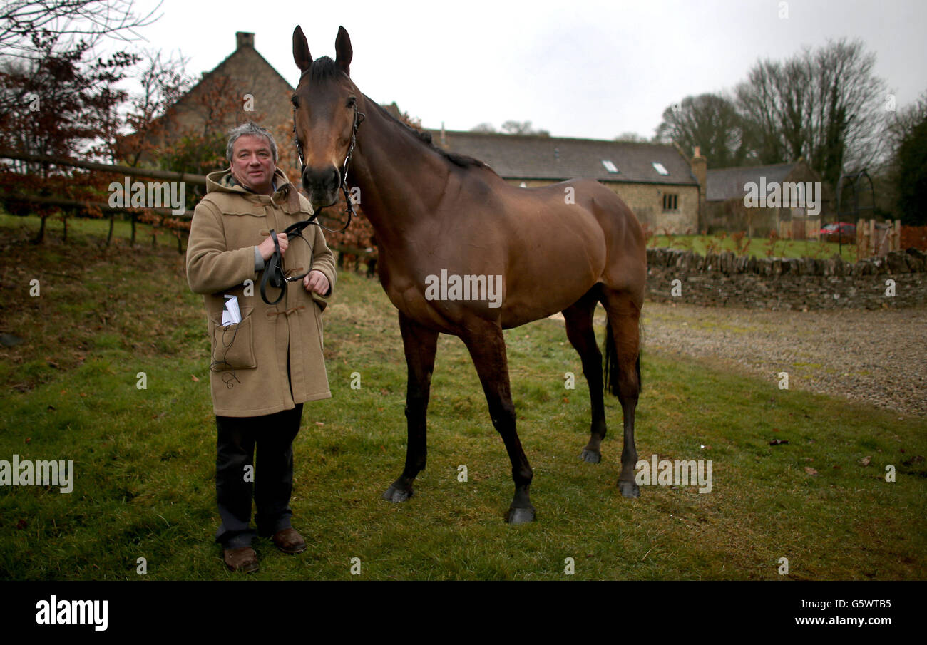 Courses hippiques - Nigel Twiston-Davies visite stable - Grange Hill ...