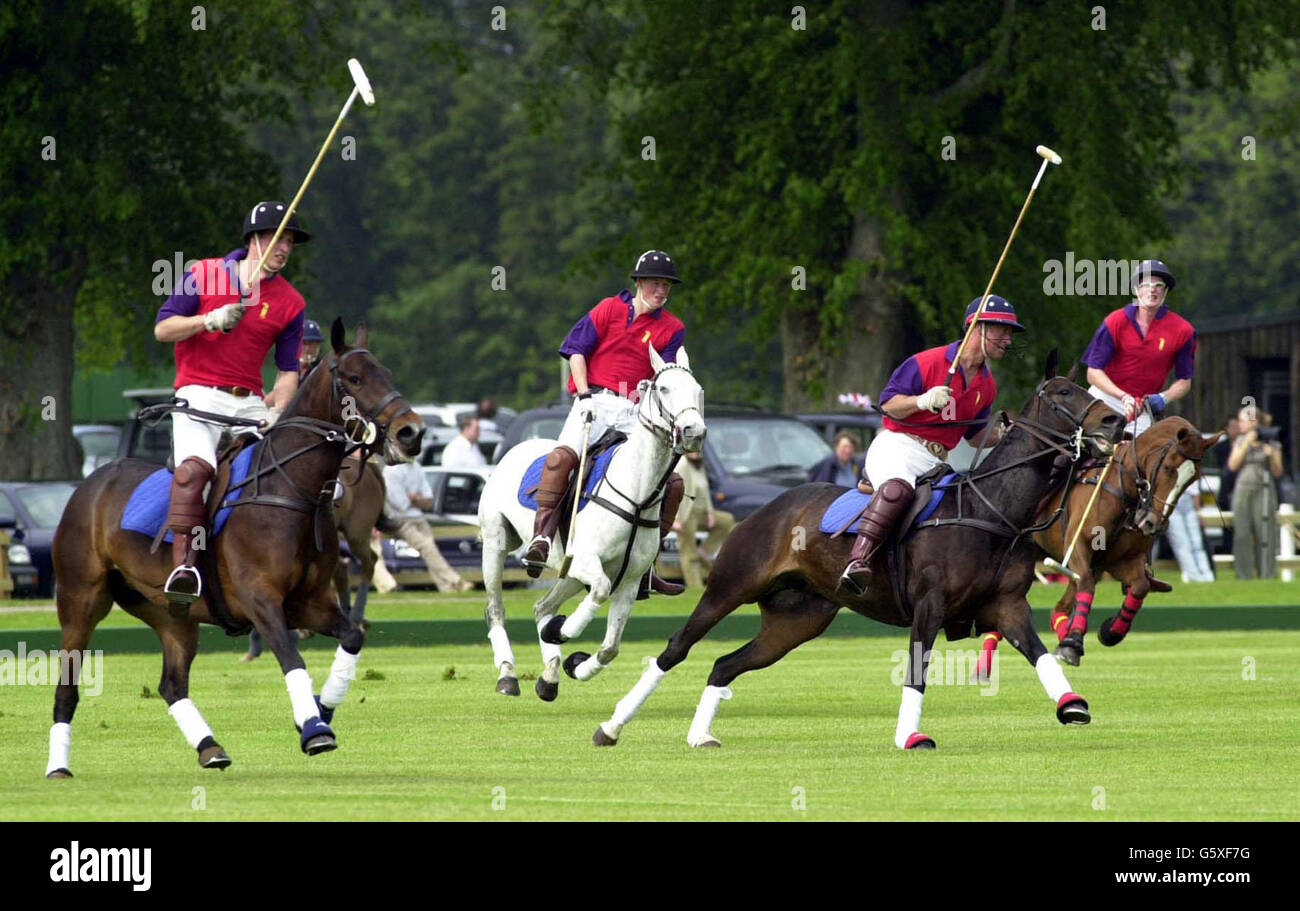 Royal sport polo action prince william prince harry Banque de ...