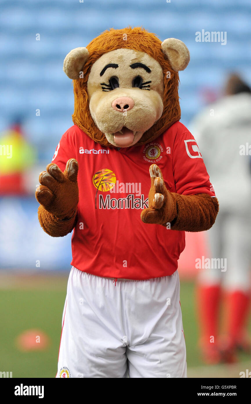 Lion gresty Banque de photographies et d’images à haute résolution - Alamy