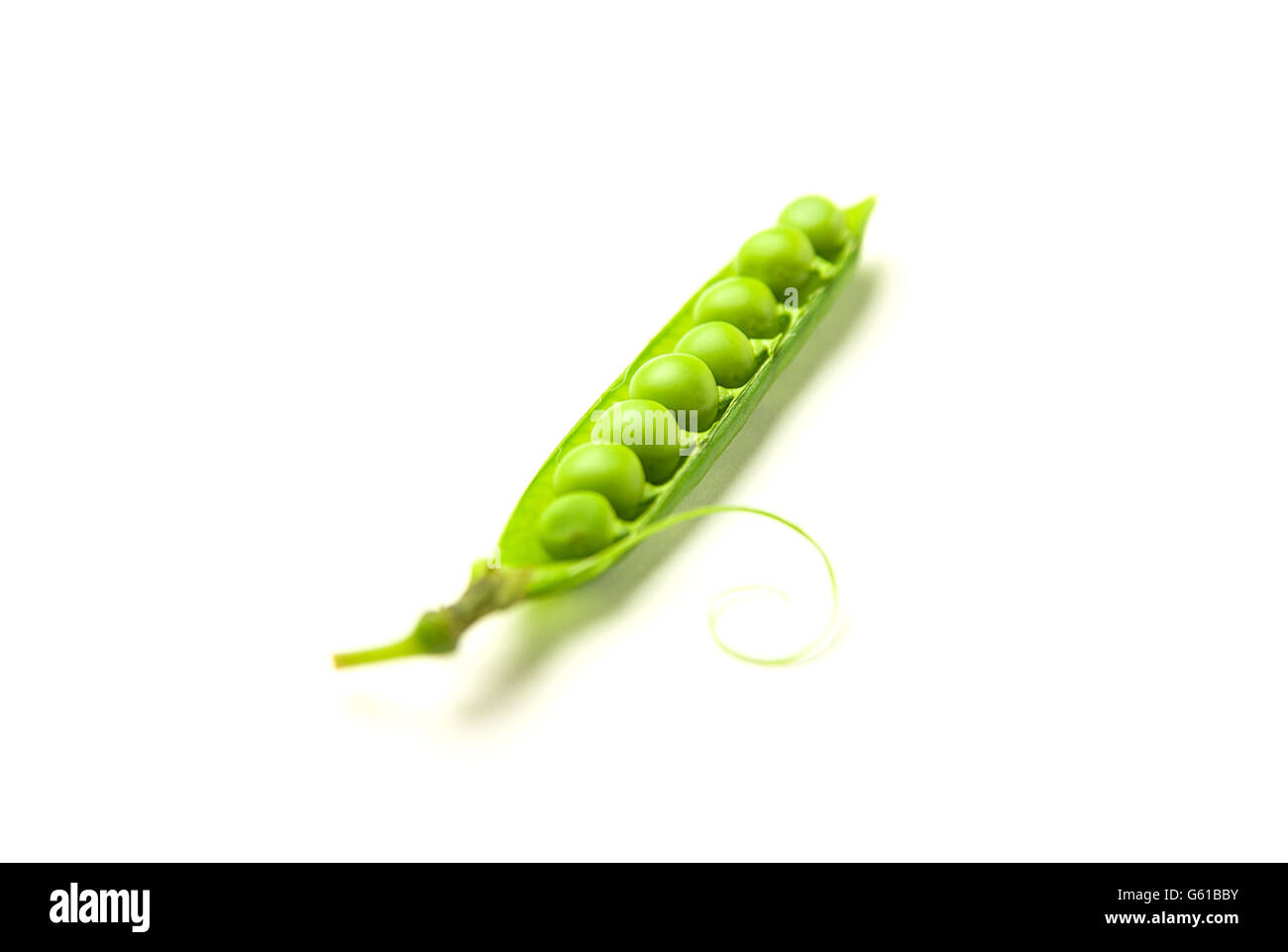 Gousse de pois chiche Banque de photographies et d’images à haute ...