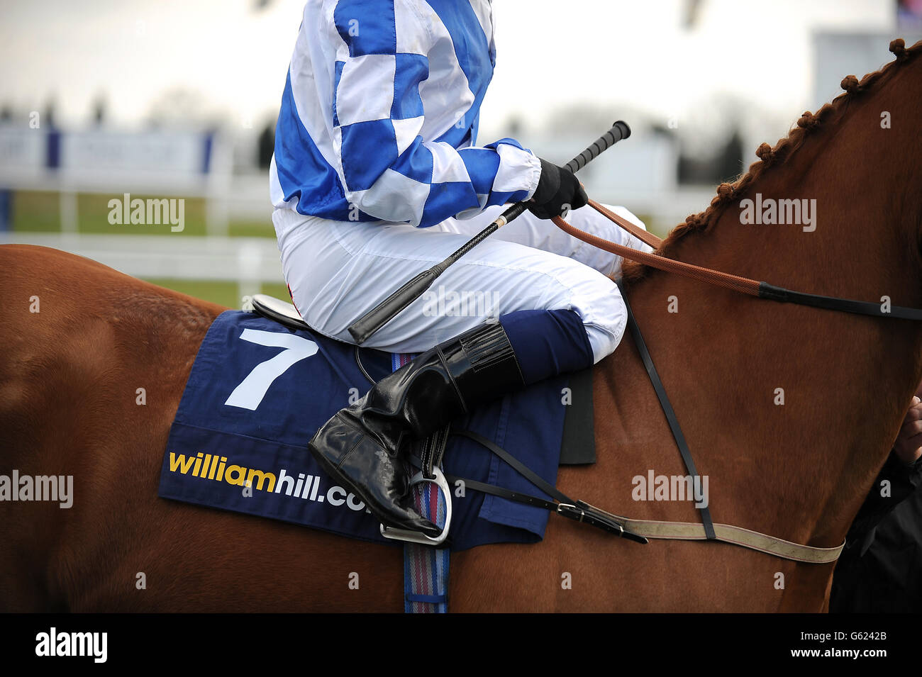 Signalisation de william hill sur le numéro du cheval Banque de ...