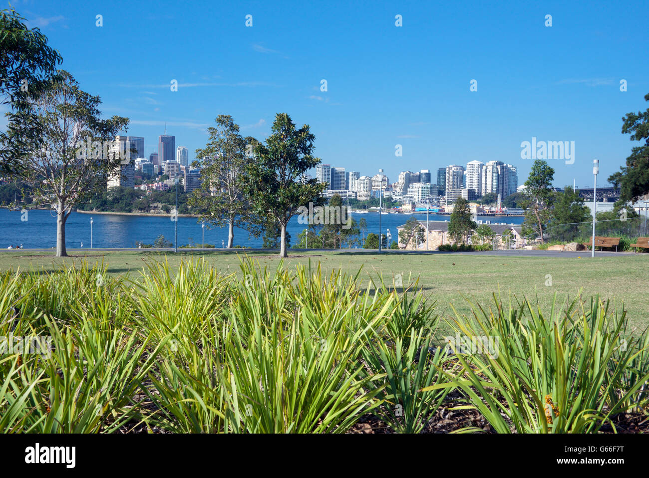 Barangaroo park Banque de photographies et d’images à haute résolution ...