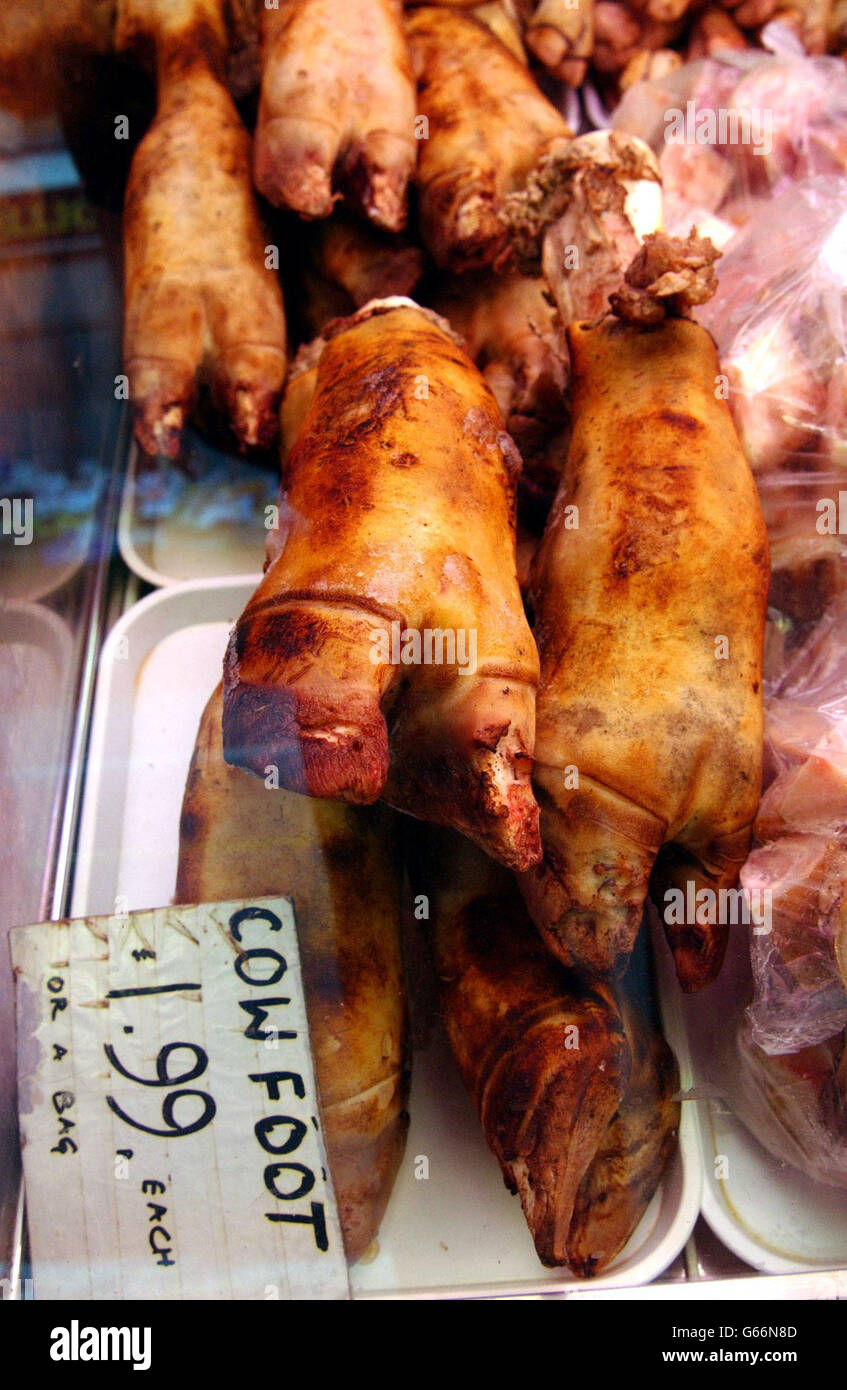 Pieds de vache Banque de photographies et d’images à haute résolution ...