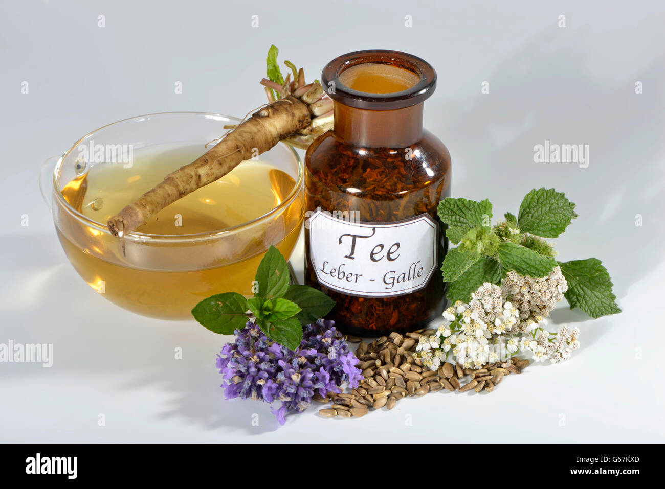 La lavande, le chardon de lait fruits, racine de pissenlit, menthe ...