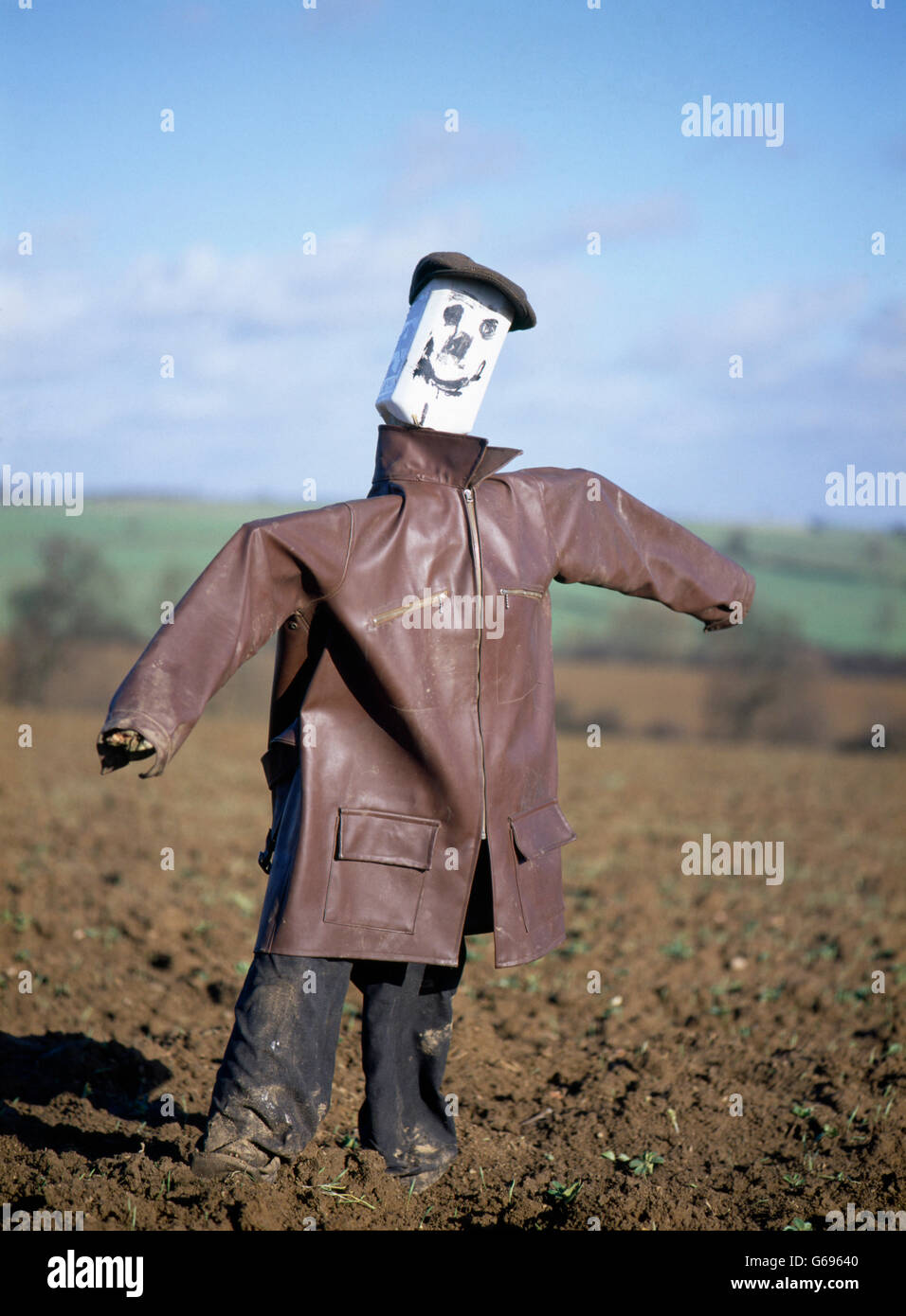 Scarecrow in english landscape colin Banque de photographies et d ...