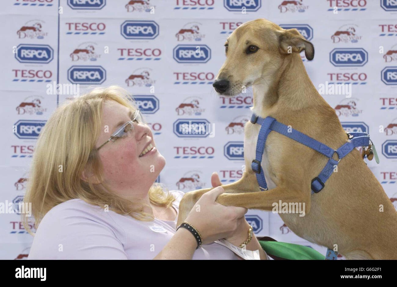 Chien de sauvetage rspca Banque de photographies et d’images à haute ...