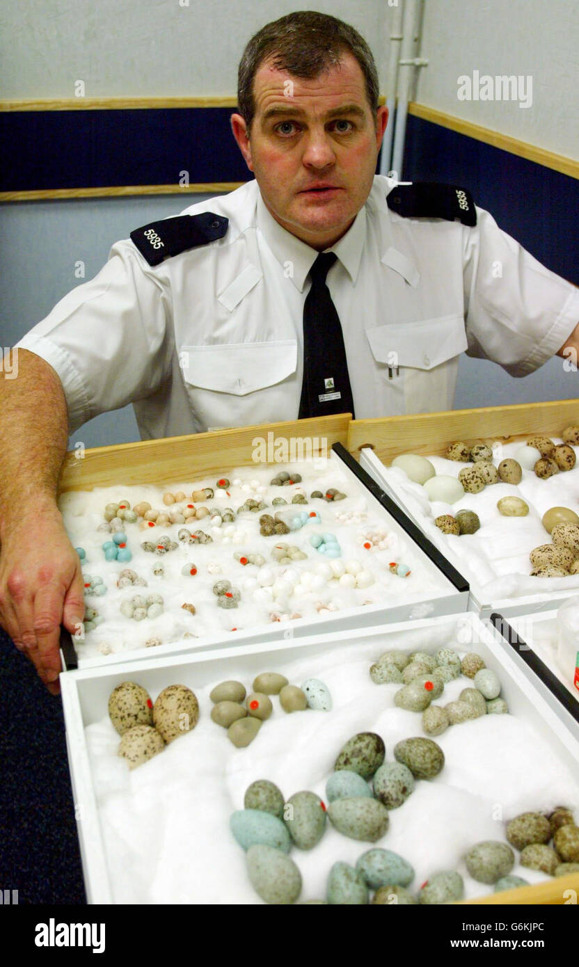 Pc andy mcwilliam Banque de photographies et d’images à haute ...