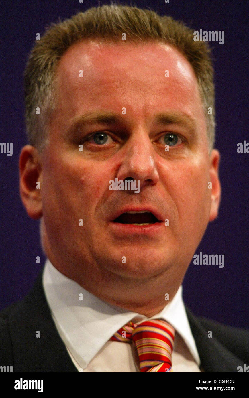 1 ans et demi Banque de photographies et d’images à haute résolution ...