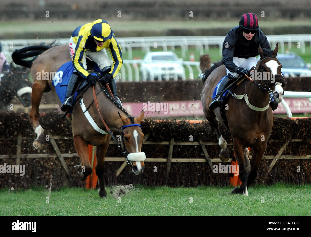 David farrier Banque de photographies et d’images à haute résolution ...