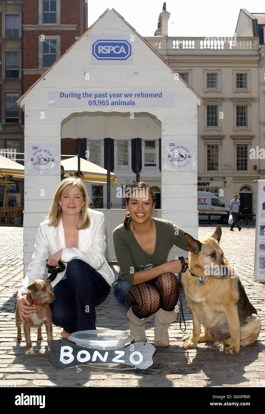 Le jardin de la rspca Banque de photographies et d’images à haute ...