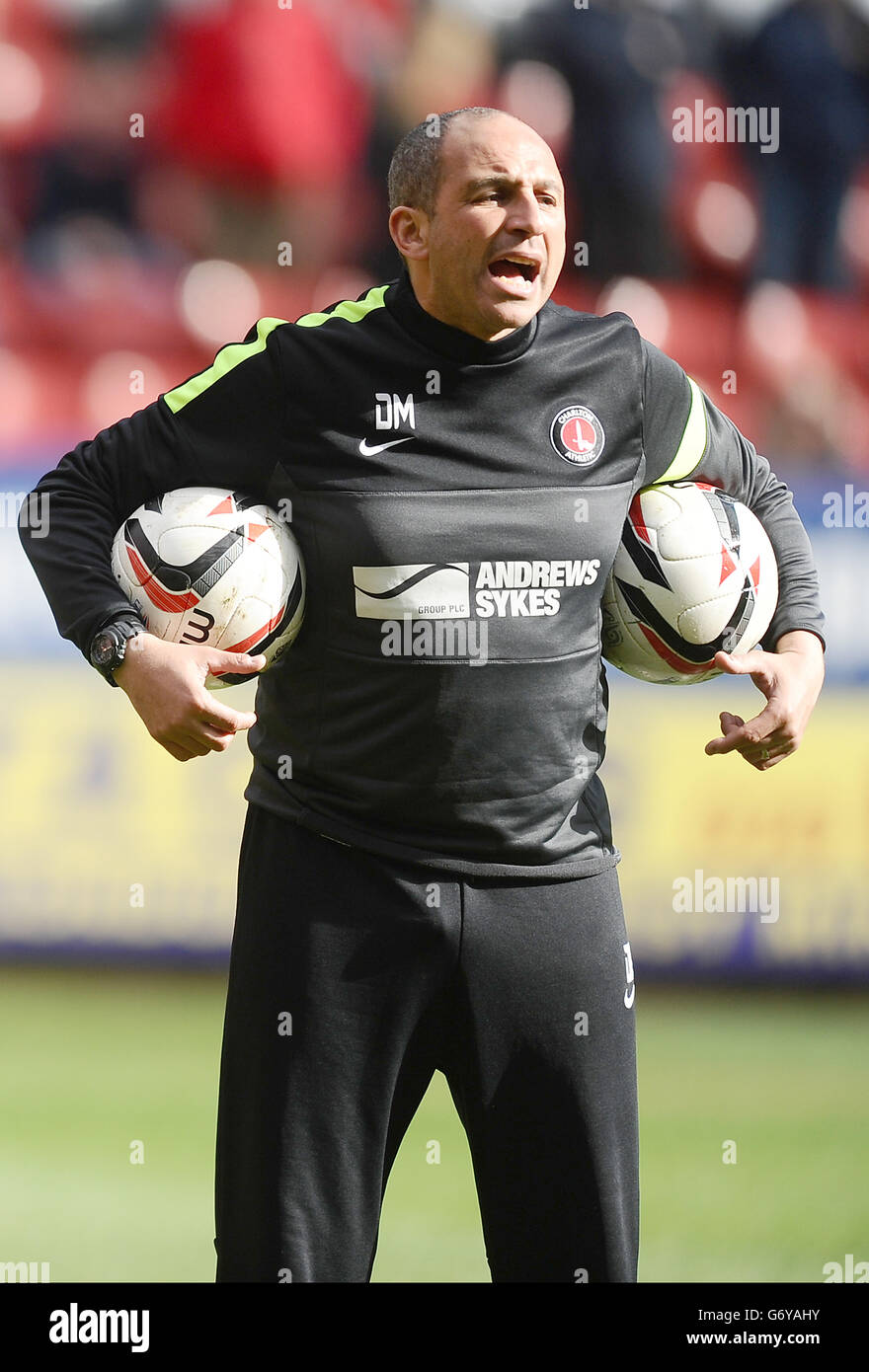 Damien matthew Banque de photographies et d’images à haute résolution ...