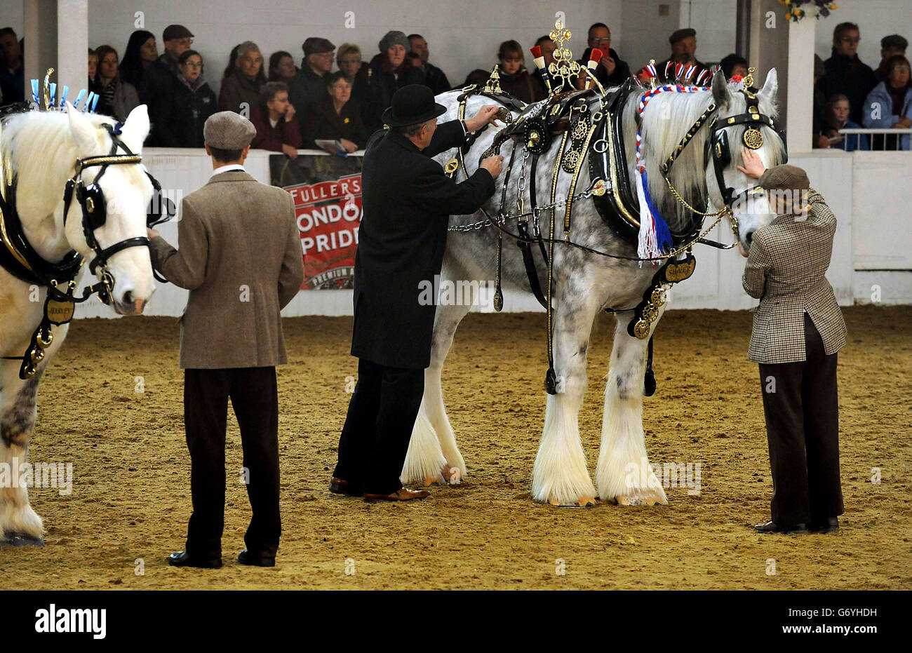 Shire horse societys national show Banque de photographies et d’images ...