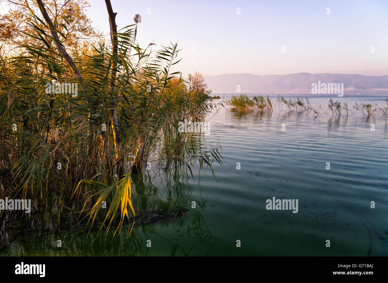 Lake volvi Banque de photographies et d’images à haute résolution - Alamy