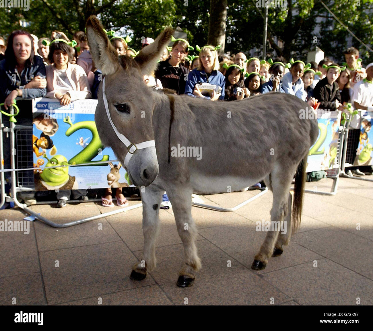 Shrek and donkey Banque de photographies et d’images à haute résolution ...