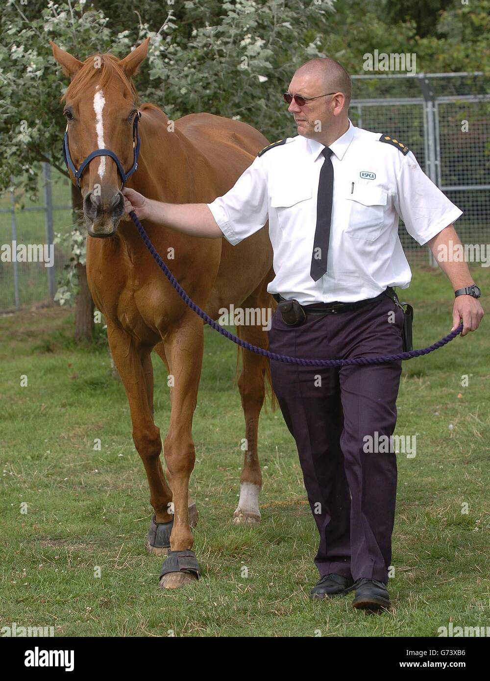 Centre animalier rspca leybourne Banque de photographies et d’images à ...