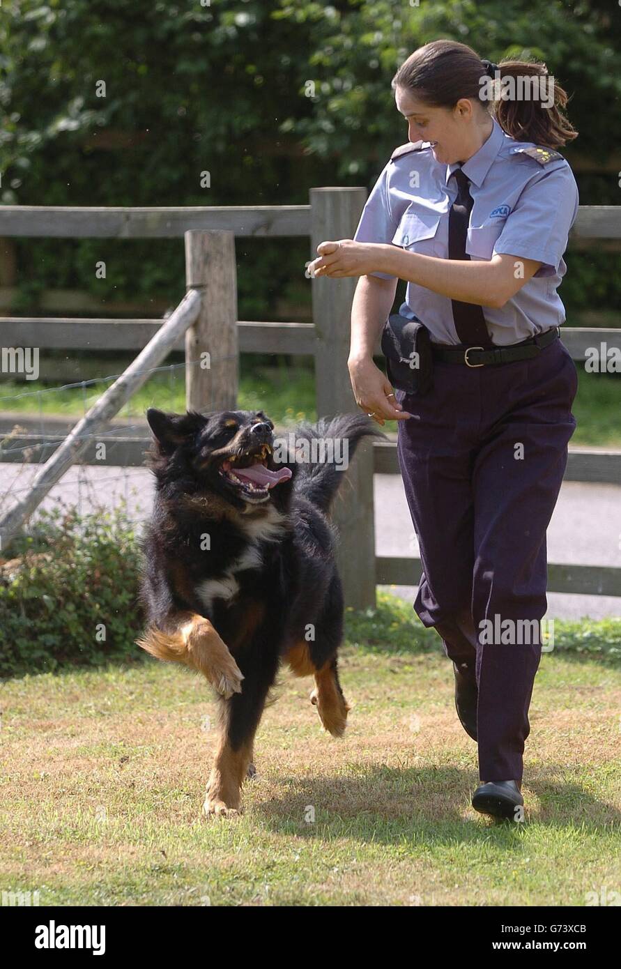 Centre animalier rspca leybourne Banque de photographies et d’images à ...