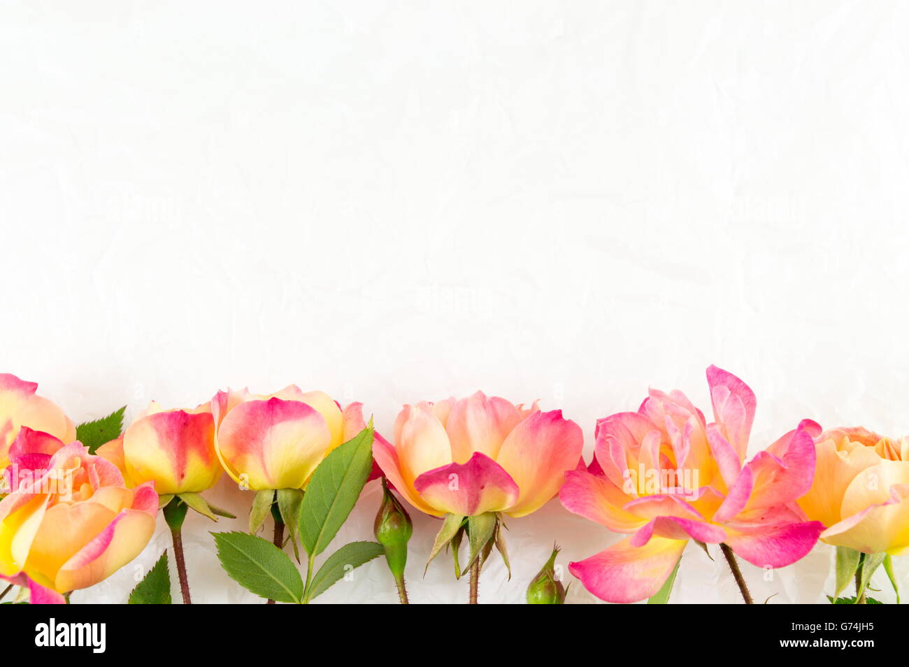 Un bouquet de roses jaunes Banque de photographies et d’images à haute ...