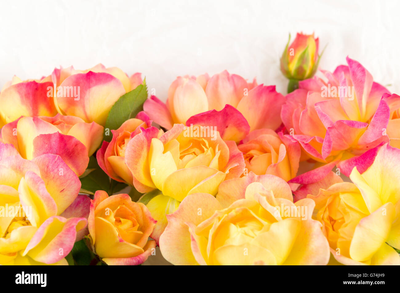 Les roses sont rouges mon amour Banque de photographies et d’images à ...