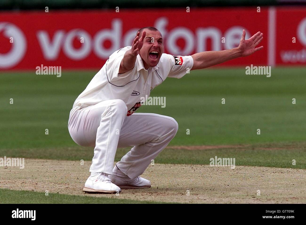 Cricket bras tendus accroupi bouche ouverte Banque de photographies et ...