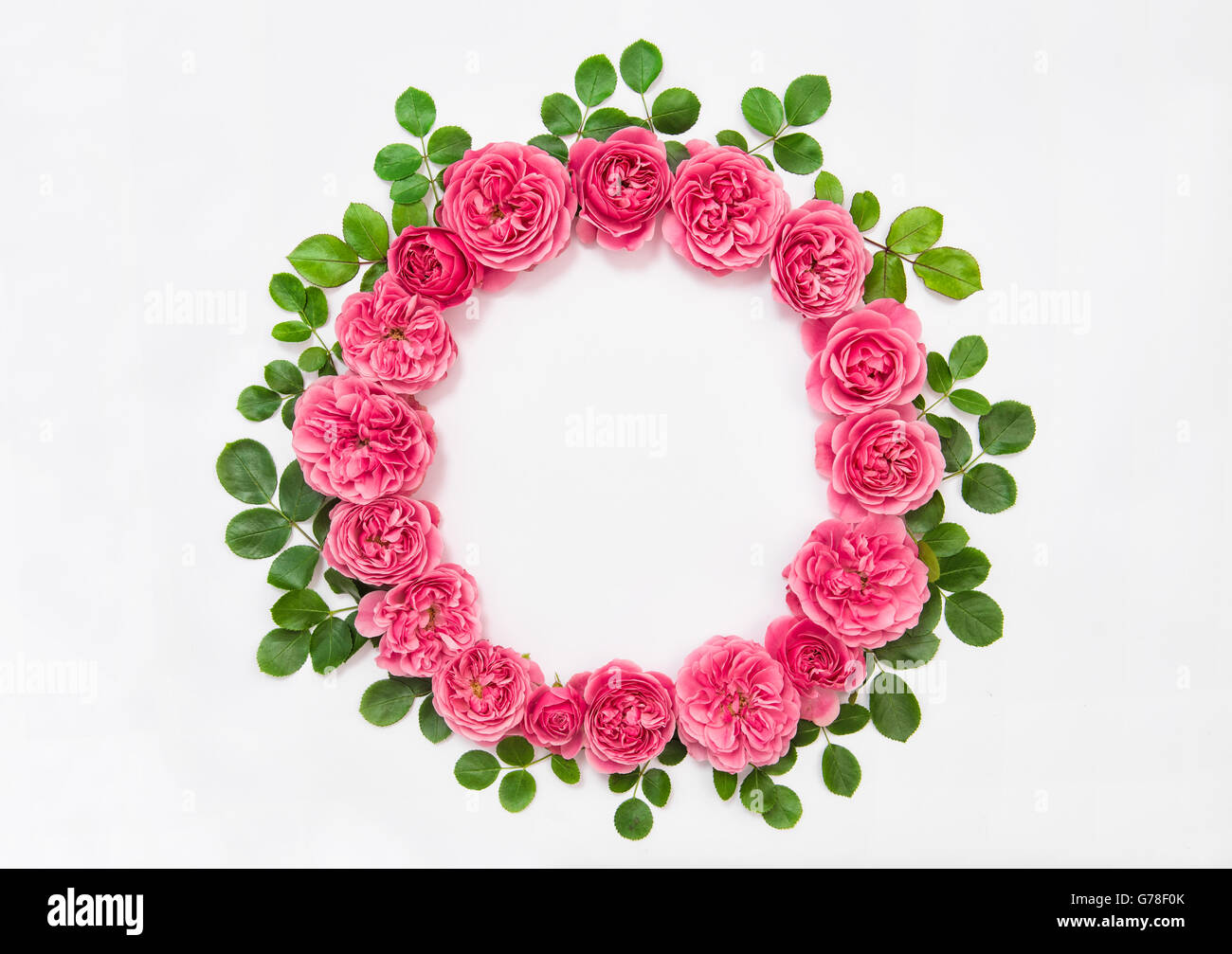 Couronne de rose blanche Banque de photographies et d’images à haute ...