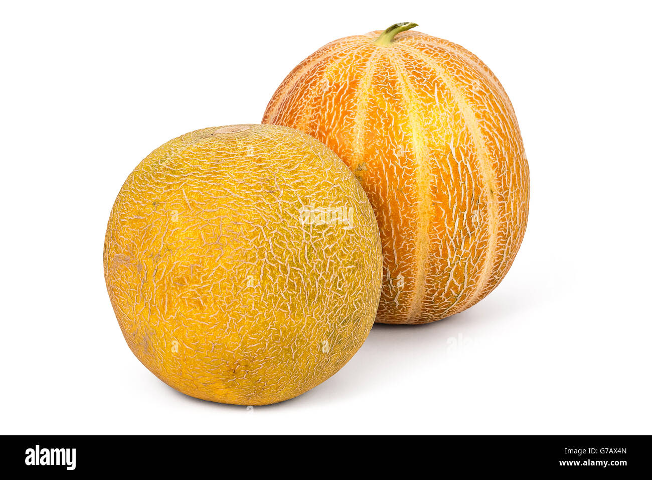 Melons cantaloup sur fond blanc Banque d'image et photos - Alamy
