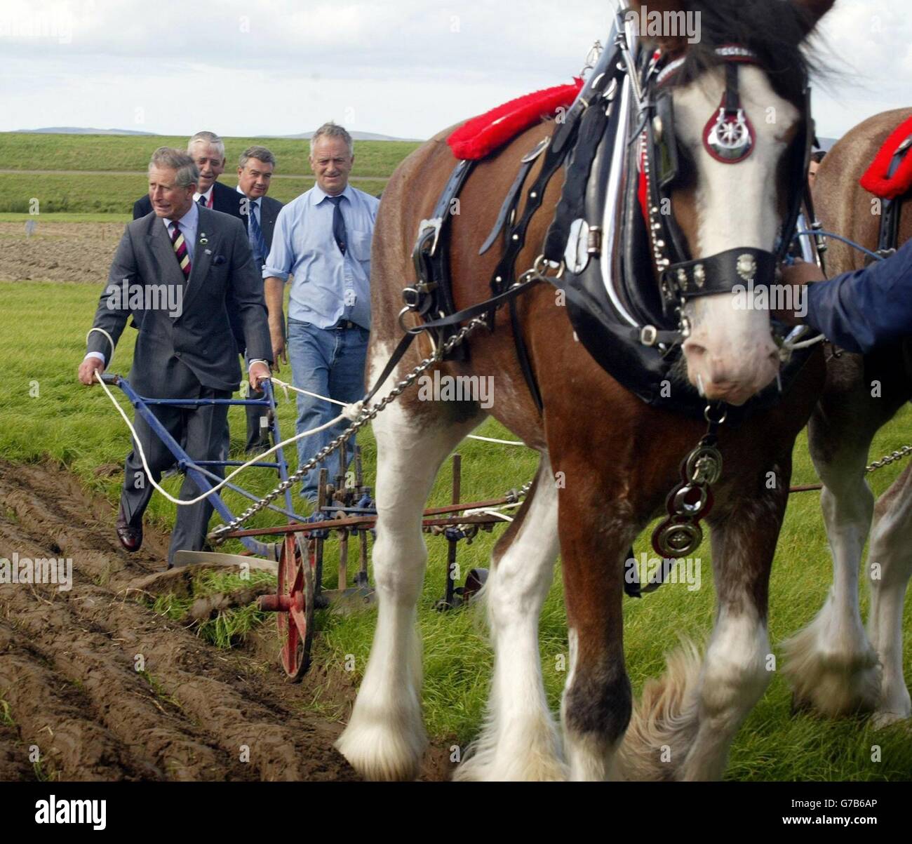 Labour à la main Banque de photographies et d’images à haute résolution ...