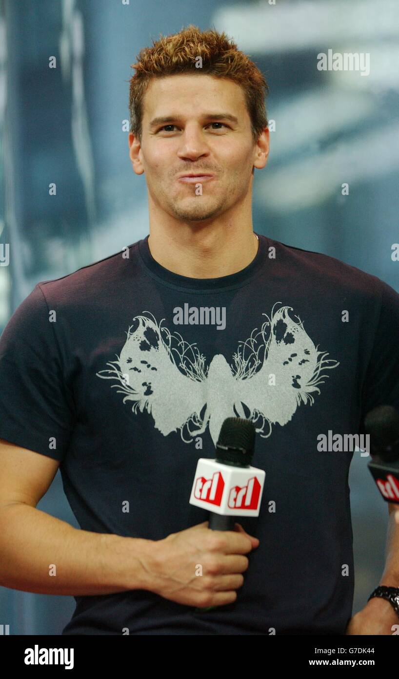 David Boreanaz, acteur américain et star de la série télévisée 'Angel ...